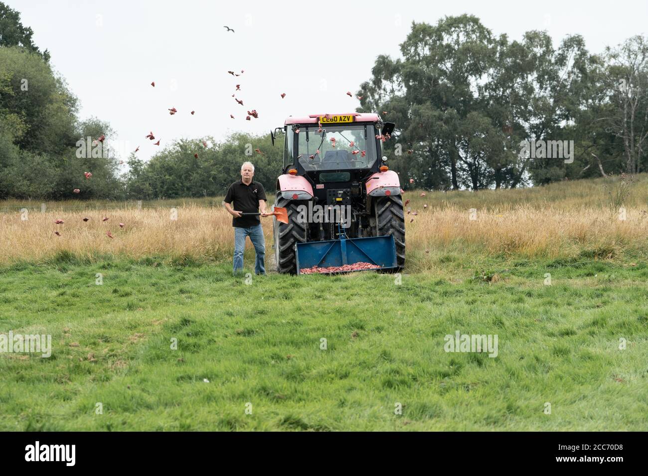 Red Kite Centre Rhayader High Resolution Stock Photography and Images ...