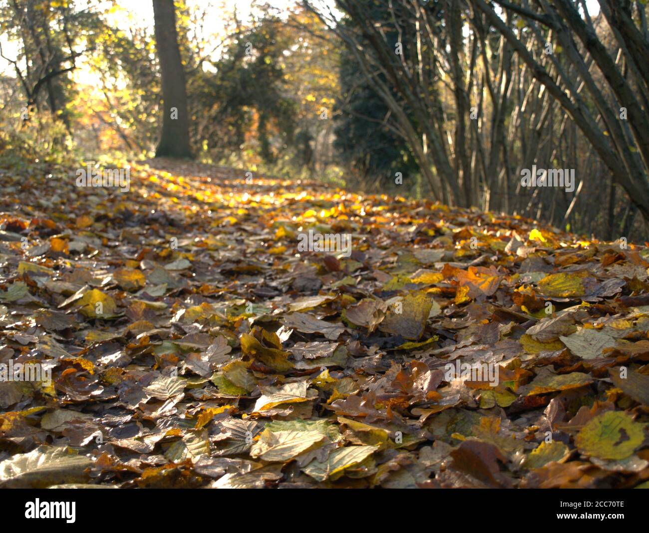 Woodbridge village suffolk hi-res stock photography and images - Alamy