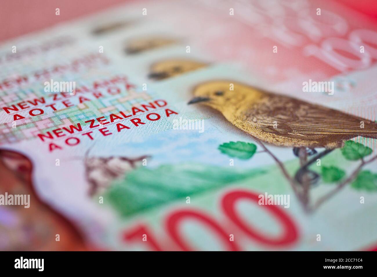 New Zealand currency. Hundred dollar notes on red background Stock ...