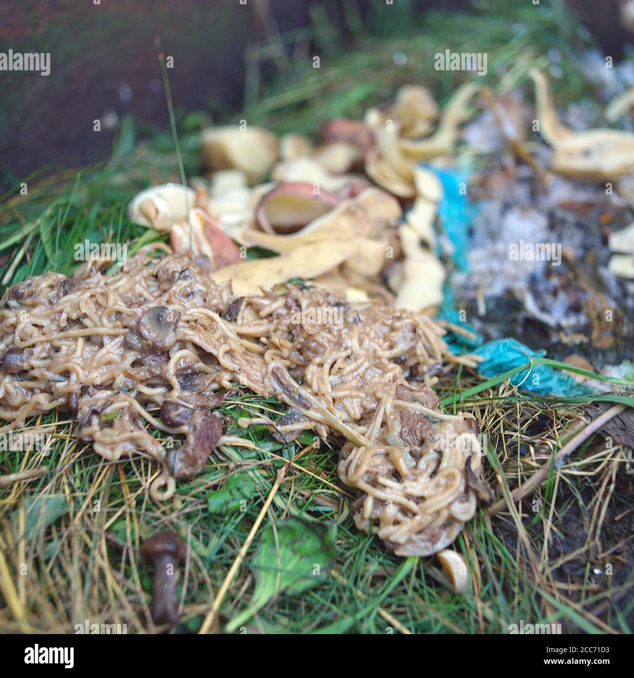 Wasted noodle in compost box, shallow depth of field shoy Stock Photo ...