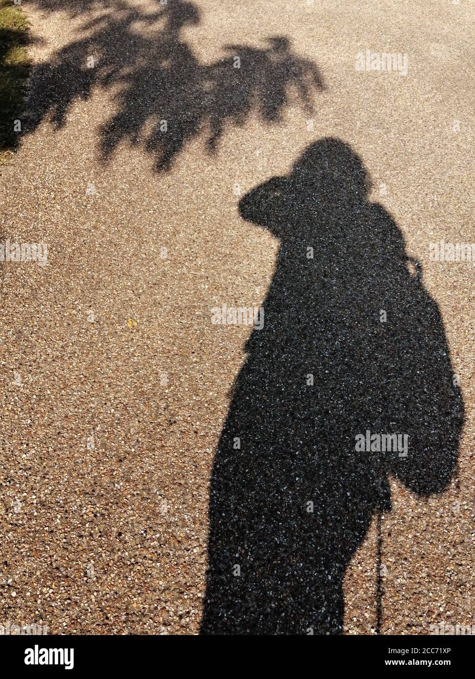 Female shadow on floor on white hi-res stock photography and images - Alamy