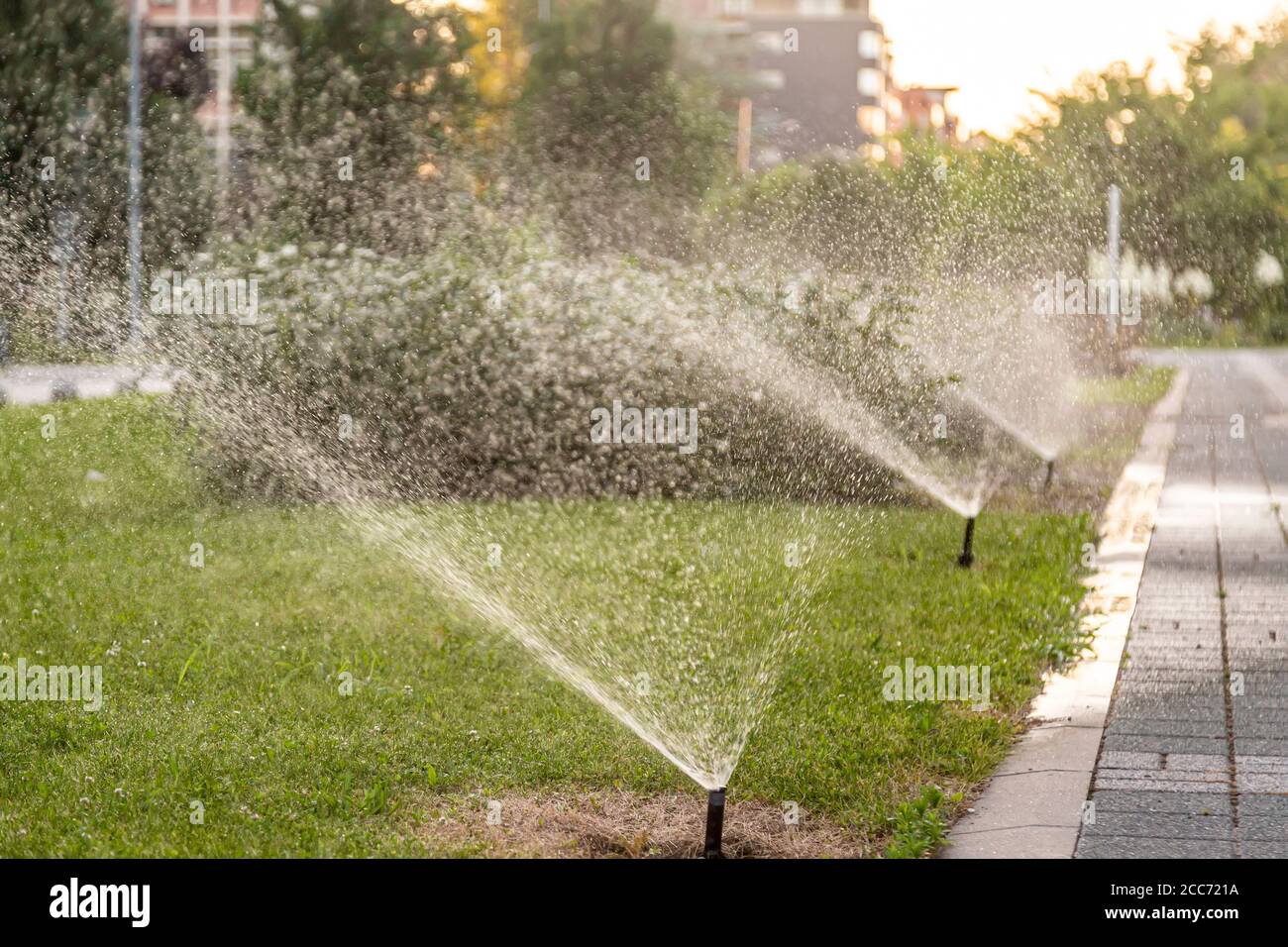 Irrigation water sprinklers in front of a modern building. The ...