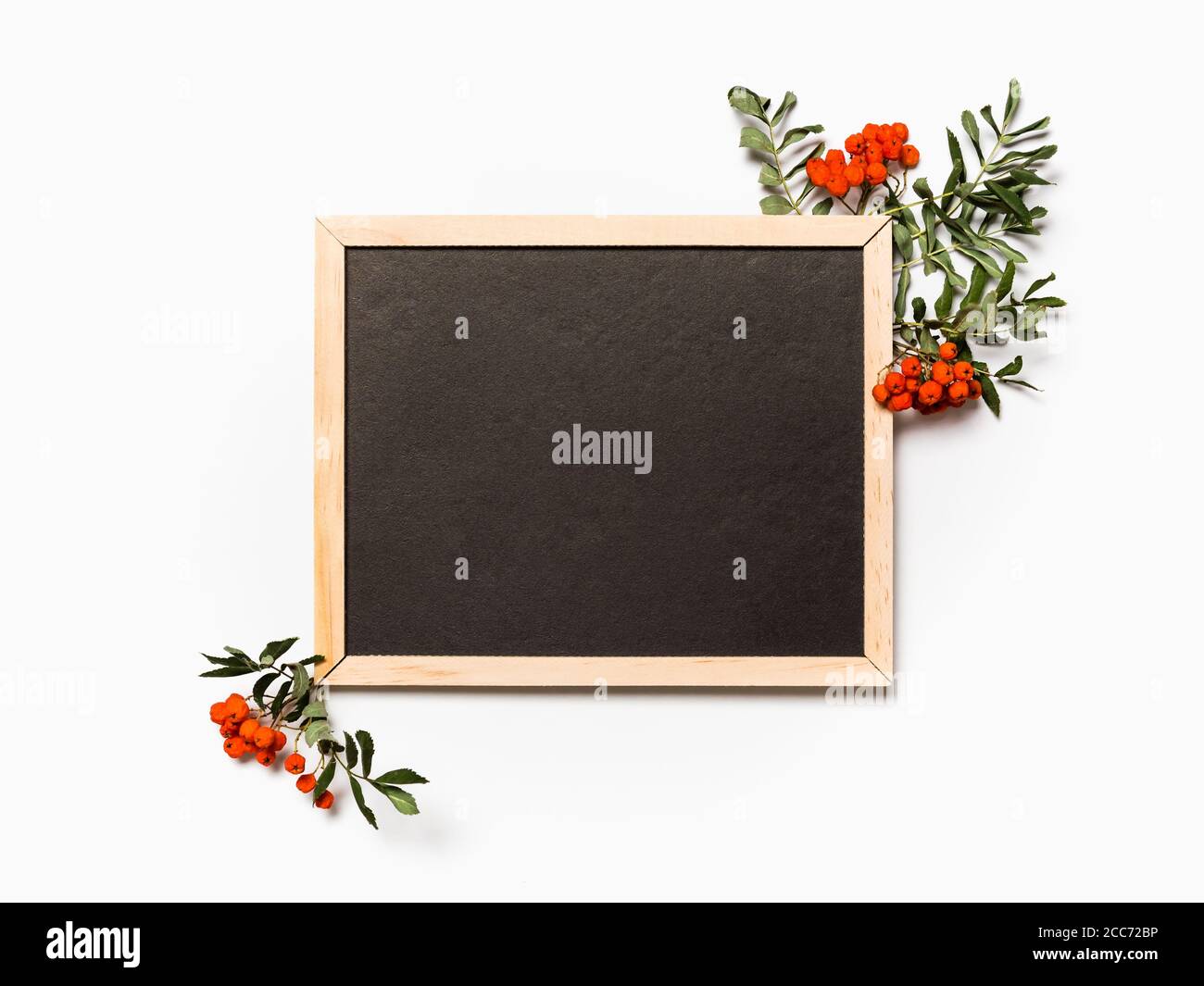 Sale text on fall Cut Out Stock Images & Pictures - Alamy