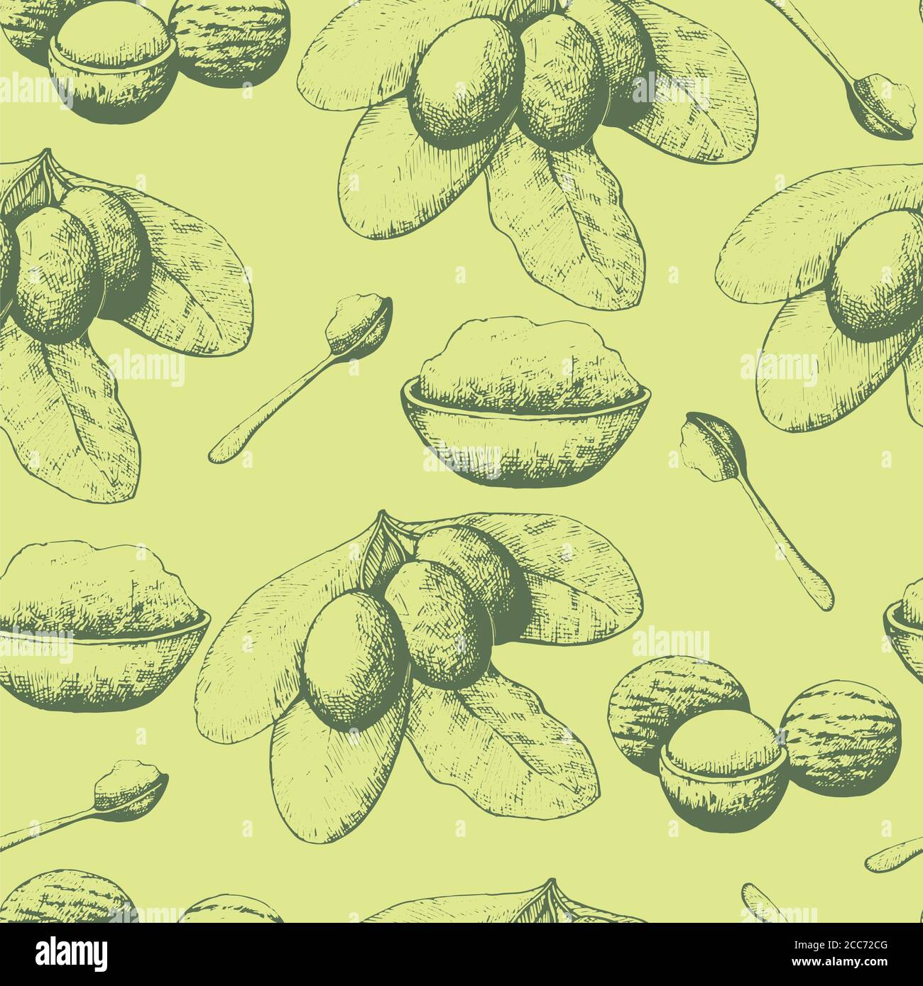 Seamless pattern with Shea nuts and butter Stock Vector Image & Art - Alamy