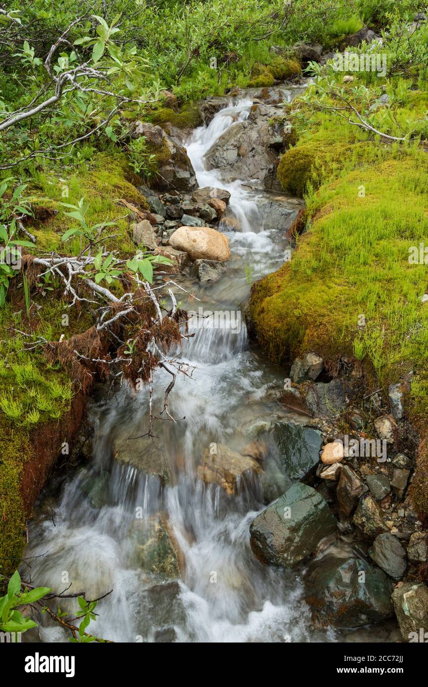 North America; United States; Denali National Park; Alaska Range ...