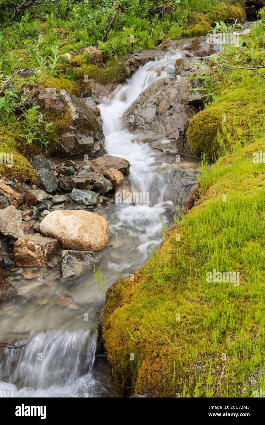 North America; United States; Denali National Park; Alaska Range ...