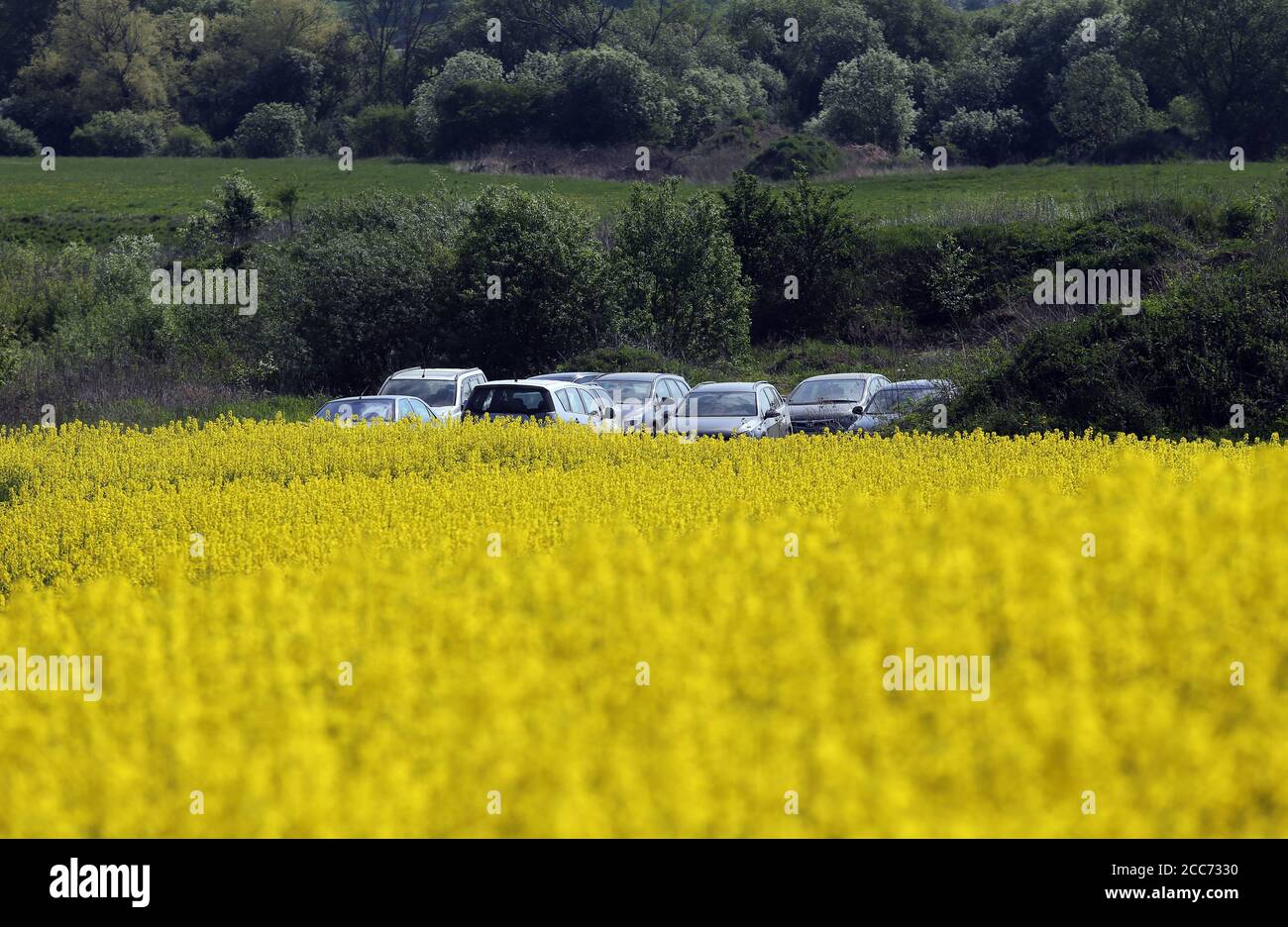 Ecanola hi-res stock photography and images - Alamy