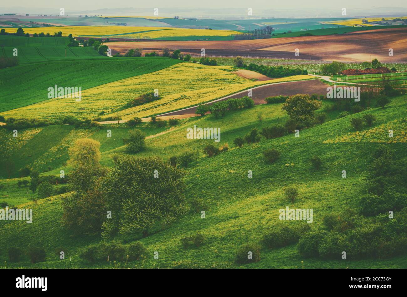 Rural landscape with green fields and trees, South Moravia, Czech ...