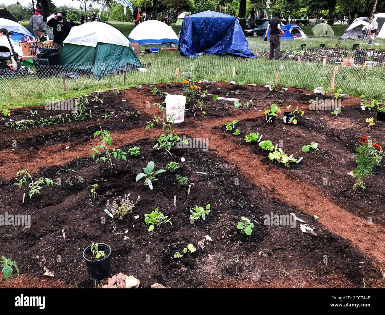 Seattle, USA – Jun 11, 2020: Cal Anderson park garden at CHAZ late in ...