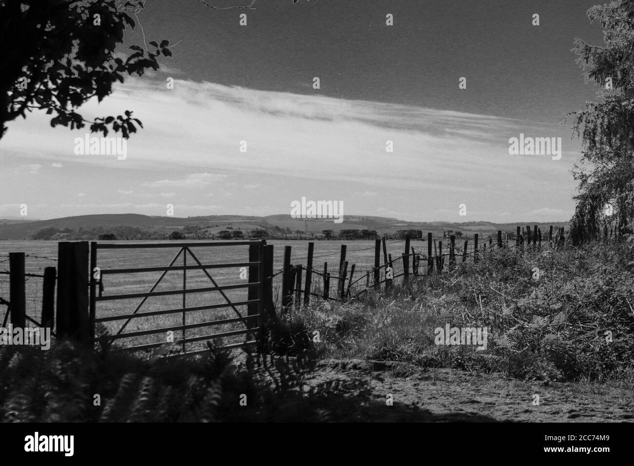 Common in hills Black and White Stock Photos & Images - Alamy