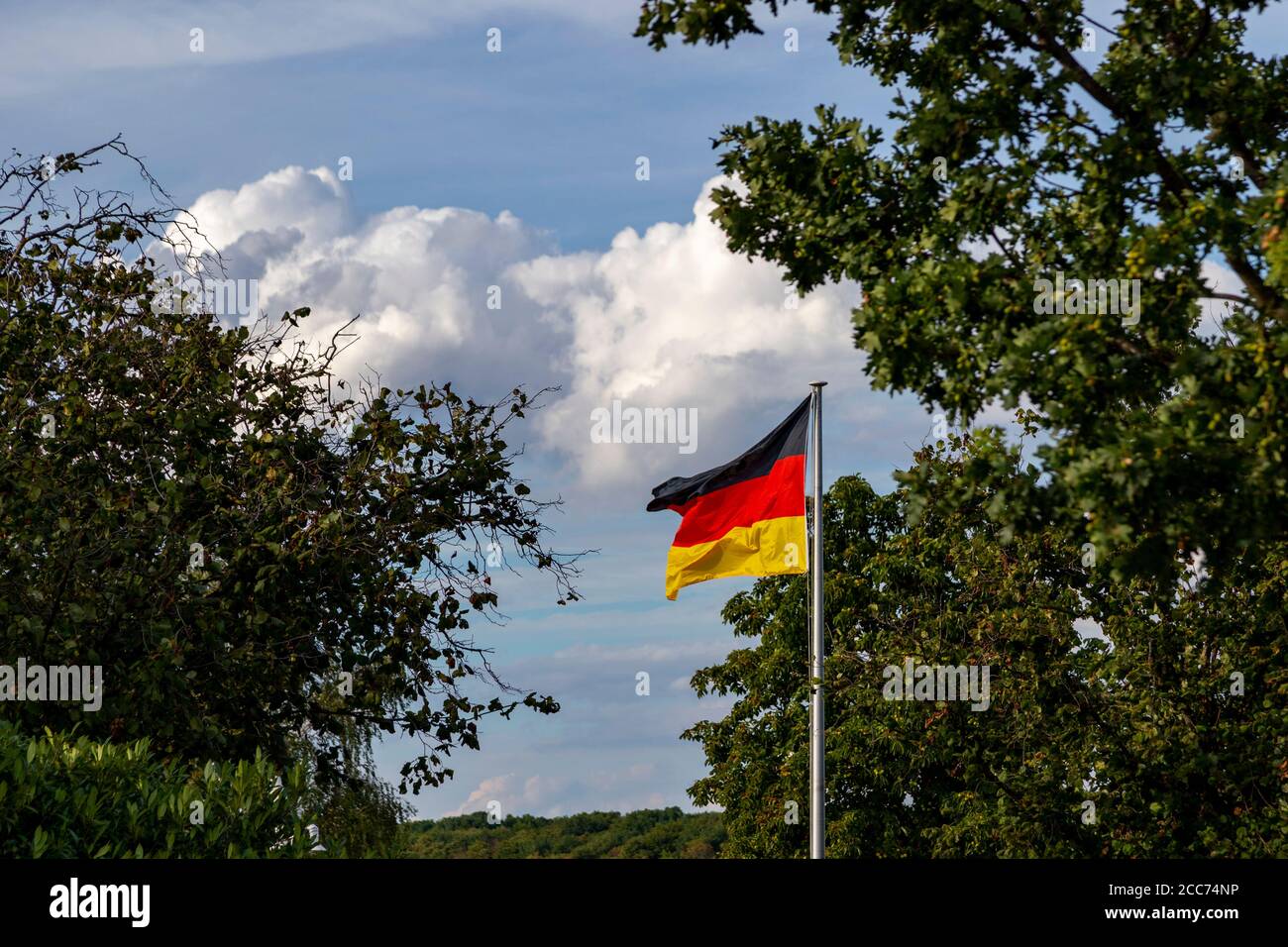german flag in the wind, fixed at a metal mast, surrounded by trees ...
