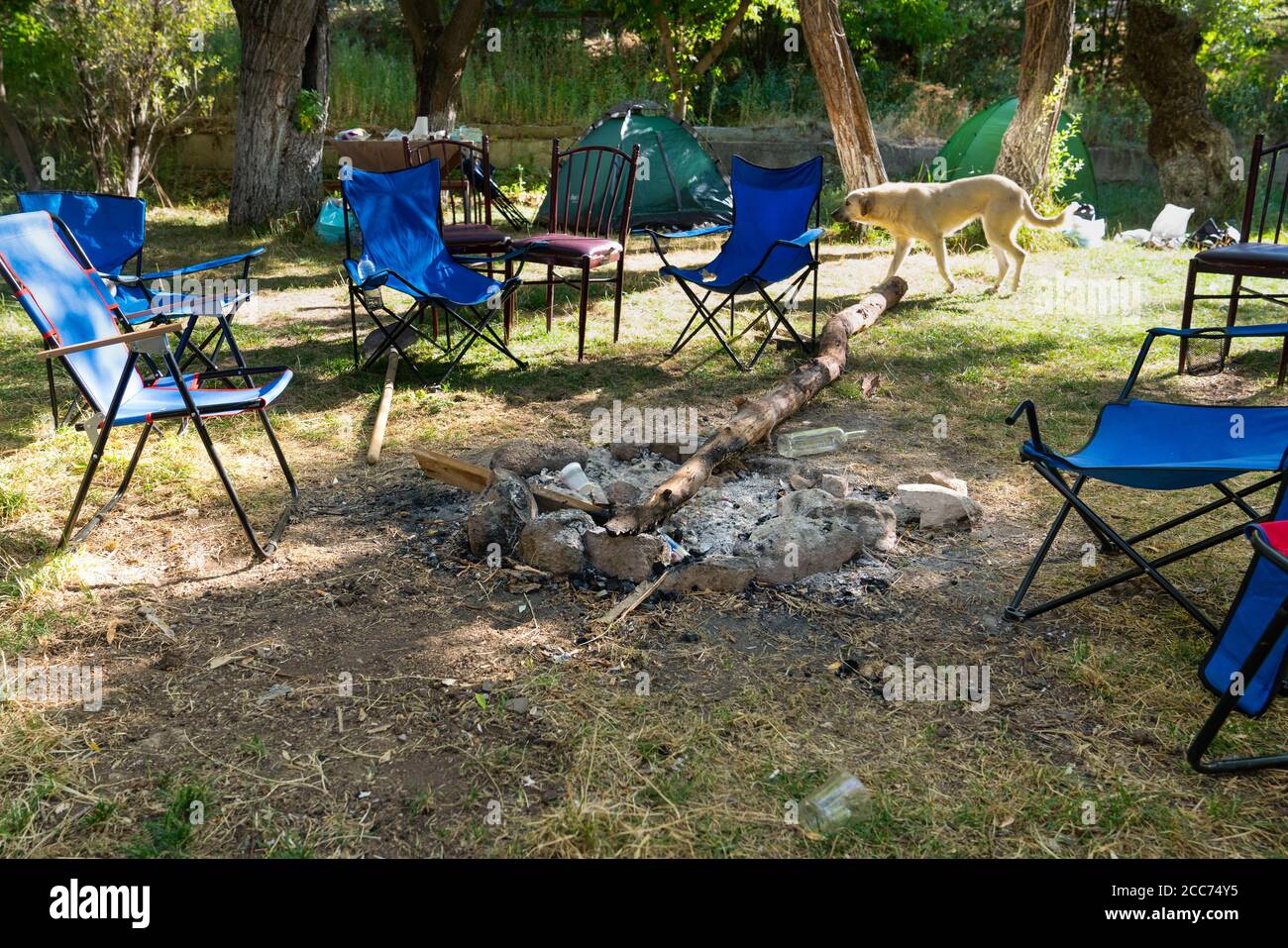 Morning view of the litter left after a campfire burning at night in a ...