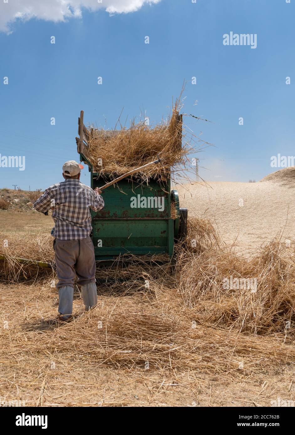 Traditional haymaking with thresher machine Stock Photo - Alamy