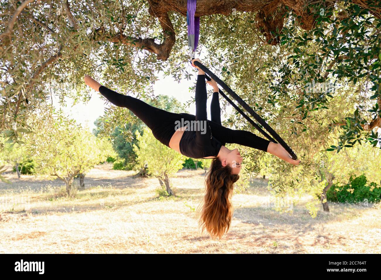 Acrobat making a split on aerial hoop among olive trees in summer Stock ...