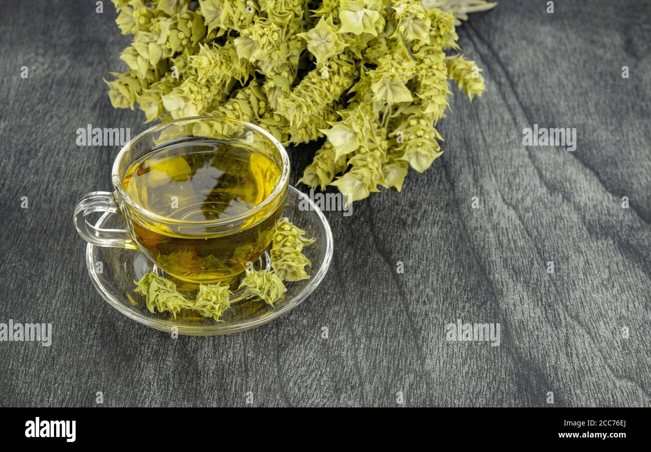 Greek traditional herbal tea in transparent cup. Bunch of mountain tea ...