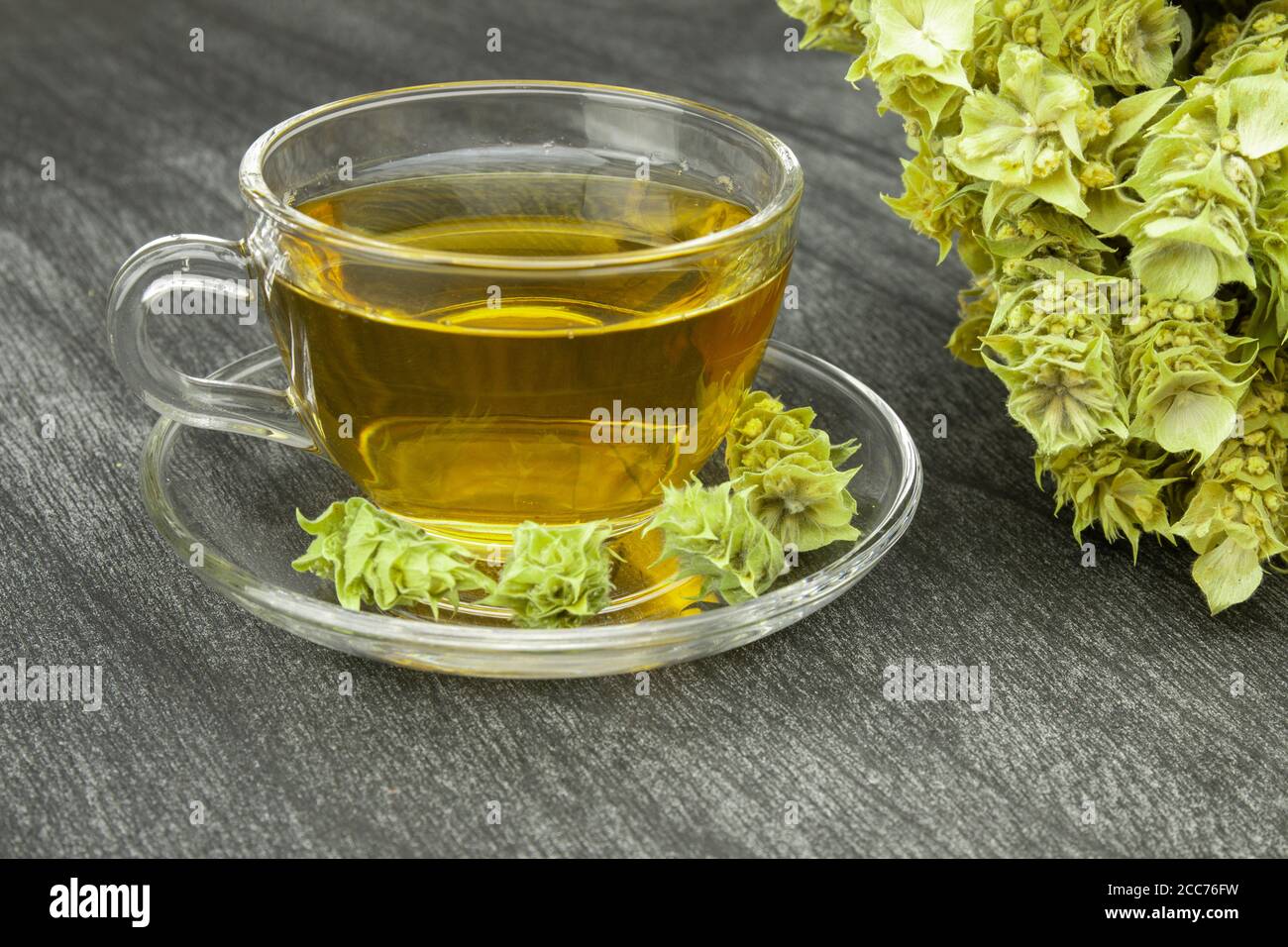 Greek traditional herbal tea in transparent cup. Bunch of mountain tea ...