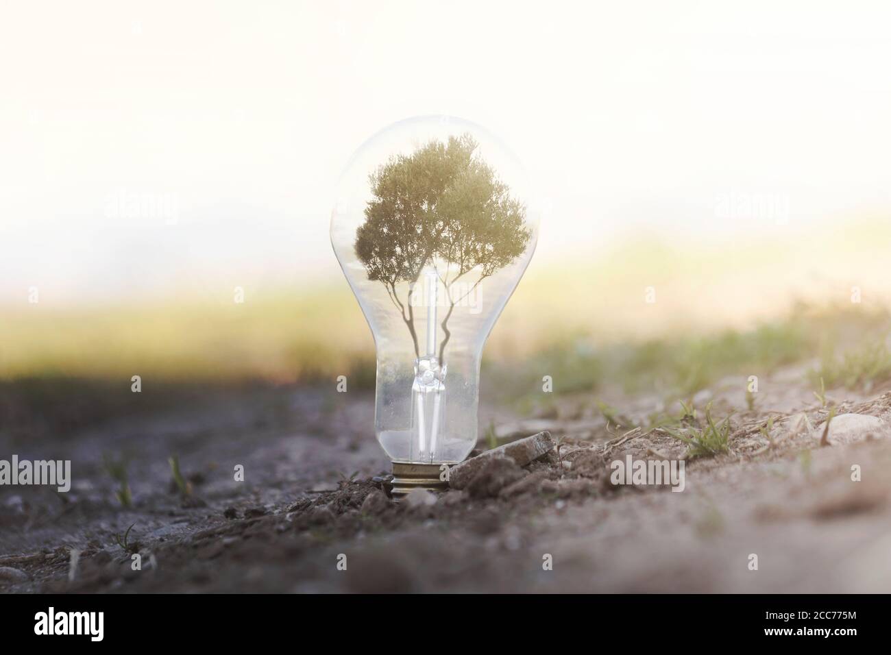 conceptual image of renewable energy., a light bulb planted on the ...