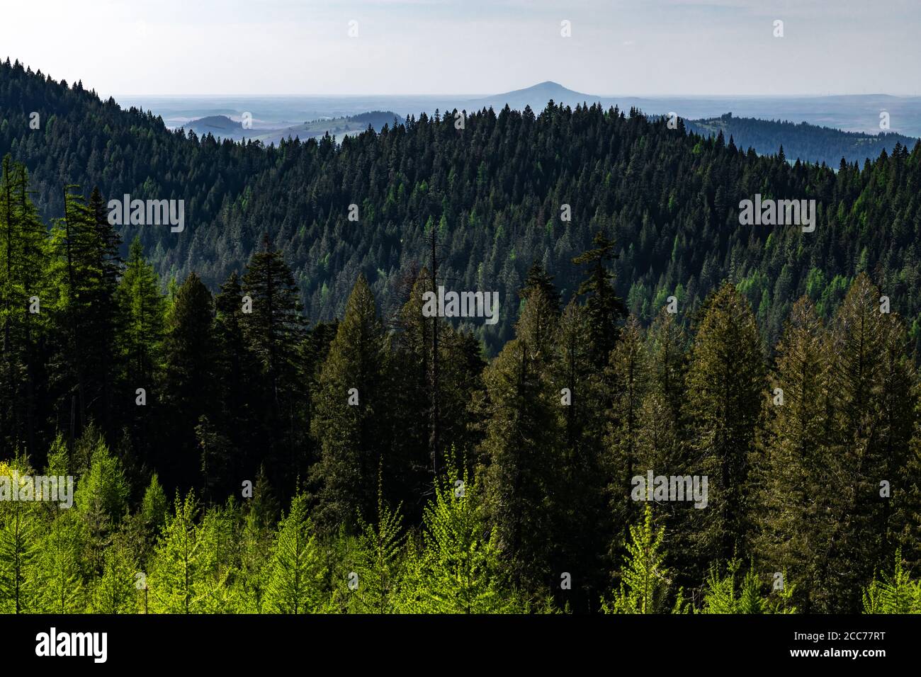 View Moscow Mountain to the Palouse, WA Stock Photo - Alamy
