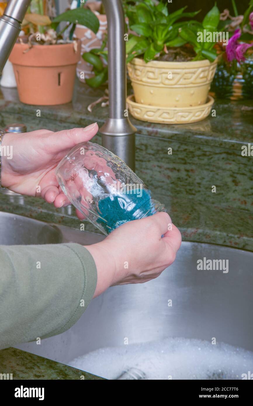 Woman washing a canning jar in preparation for making blackberry jam ...