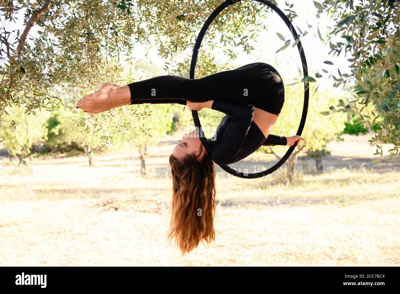 Acrobat making a pose on aerial hoop among olive trees in summer Stock ...