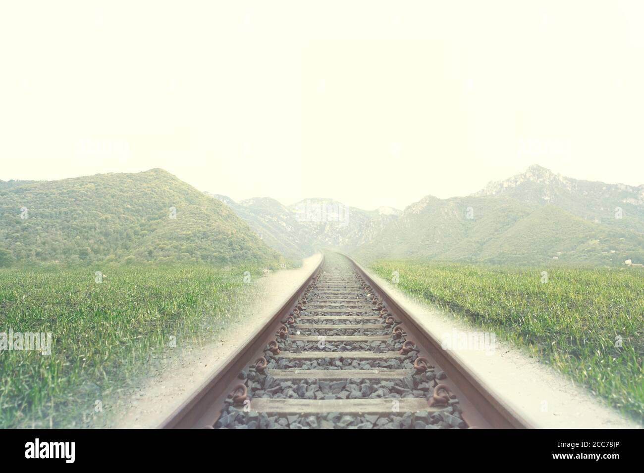 rails of a railway in a place surrounded by nature Stock Photo - Alamy
