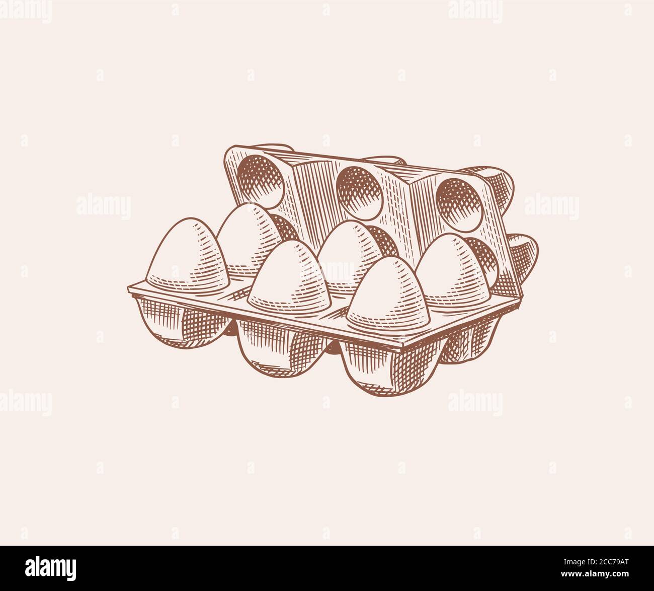 Carton Of Eggs Drawing