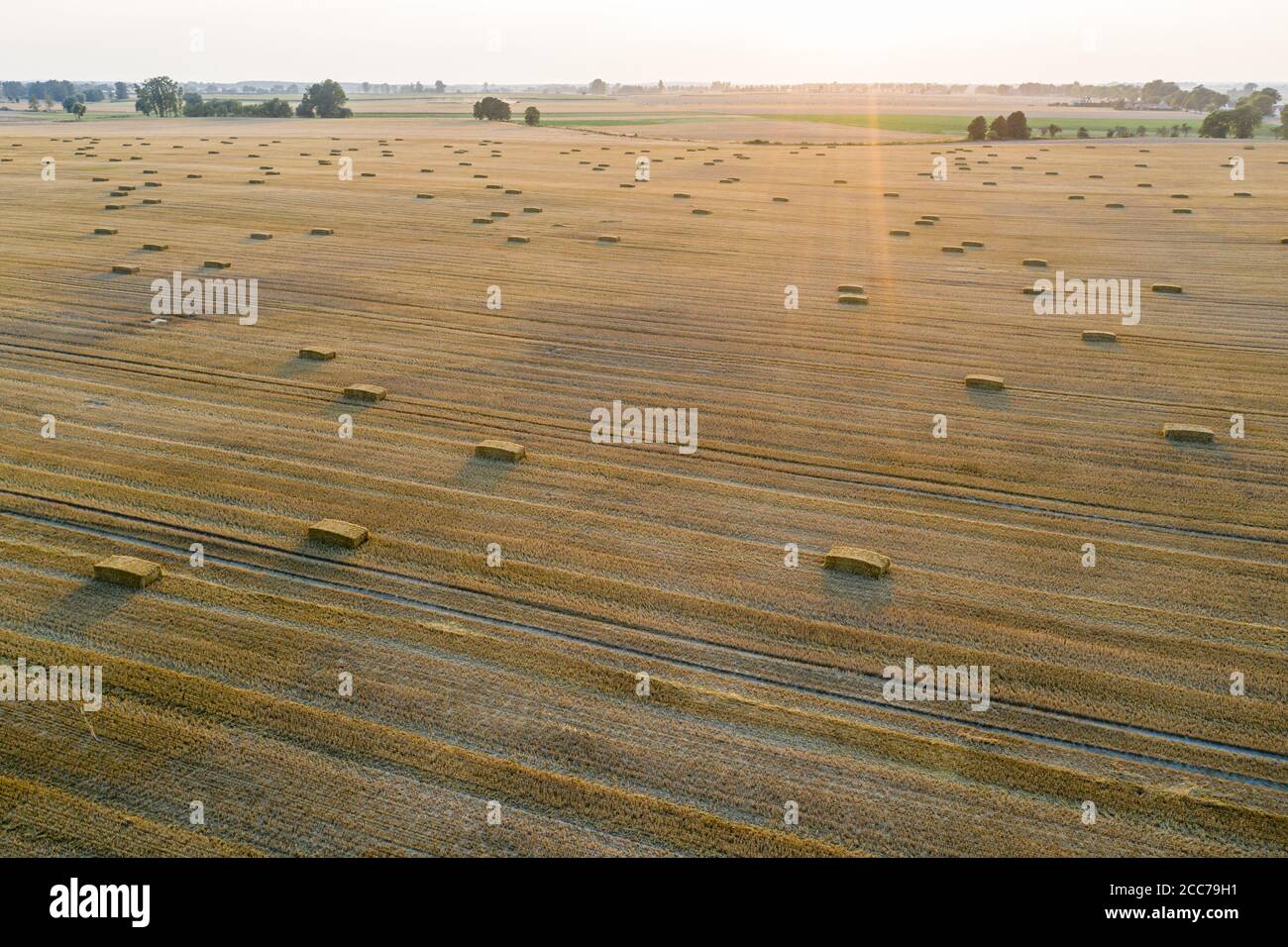 Aerial view of rectangle hay bales on stubble, harvesting time Stock ...