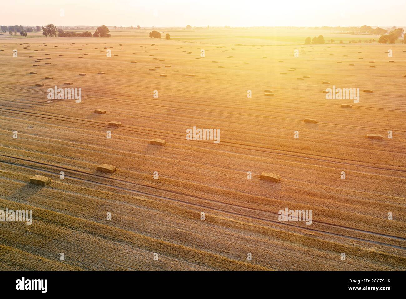 Aerial view of rectangle hay bales on stubble at sunset, harvesting ...