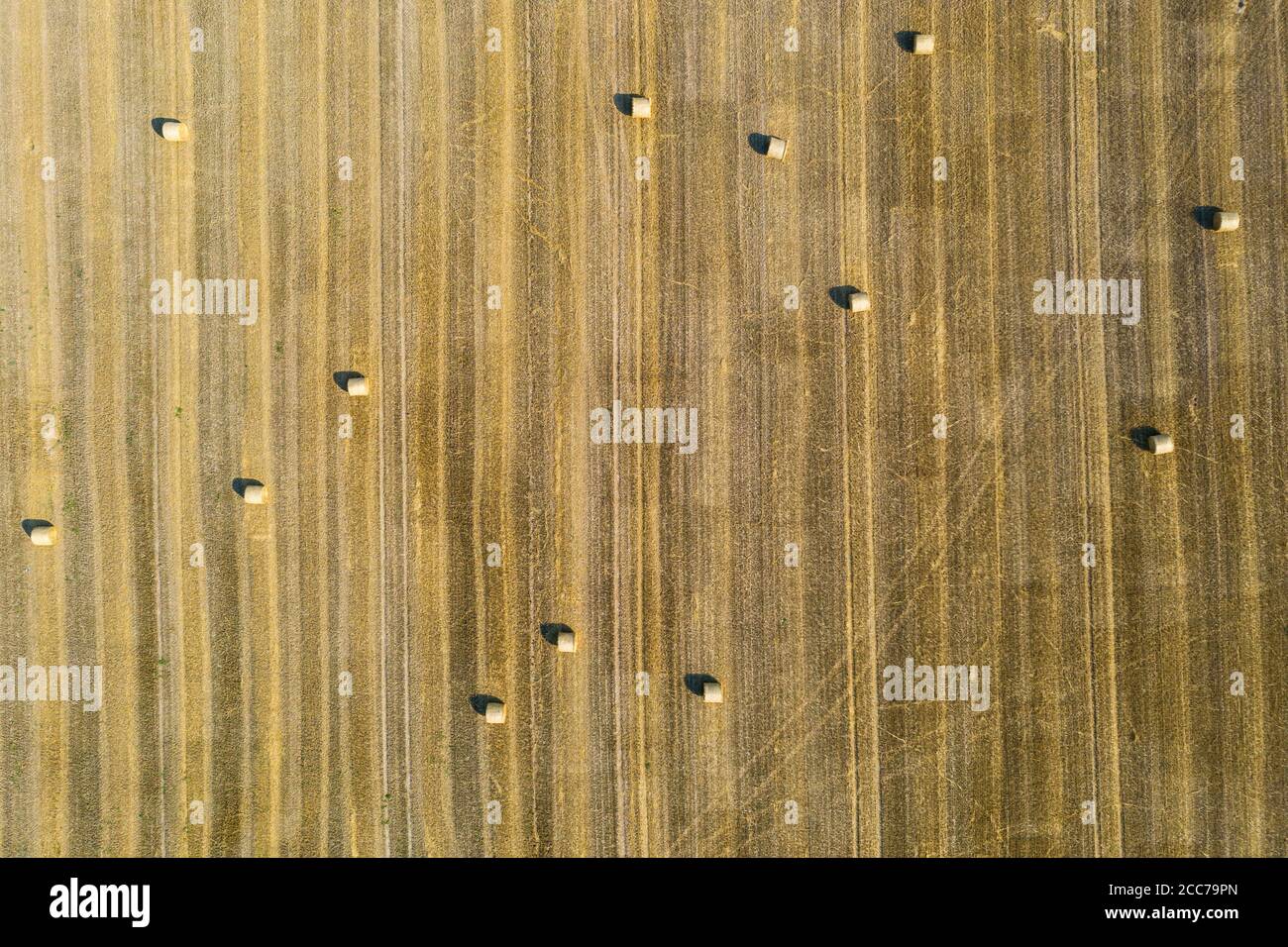 Aerial top down view of round hay bales on stubble, harvesting time ...