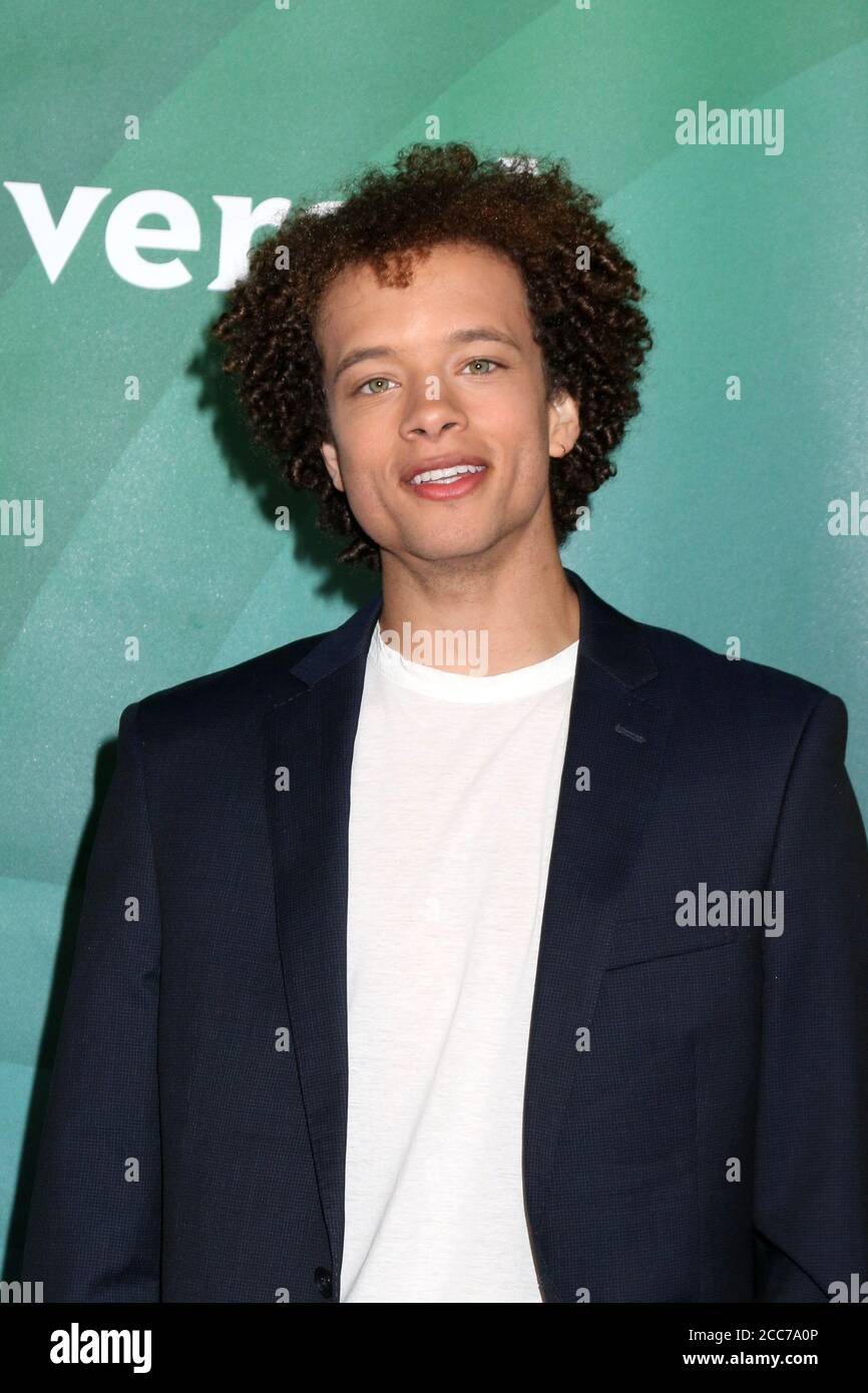 LOS ANGELES - MAY 2: Damon J Gillespie at the NBCUniversal Summer Press ...