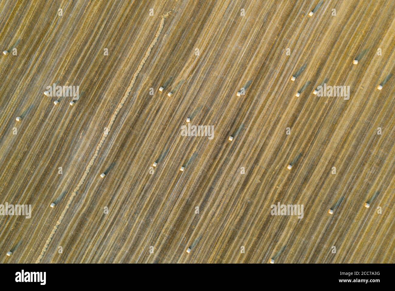 Aerial top down view of round hay bales on stubble, harvesting time ...