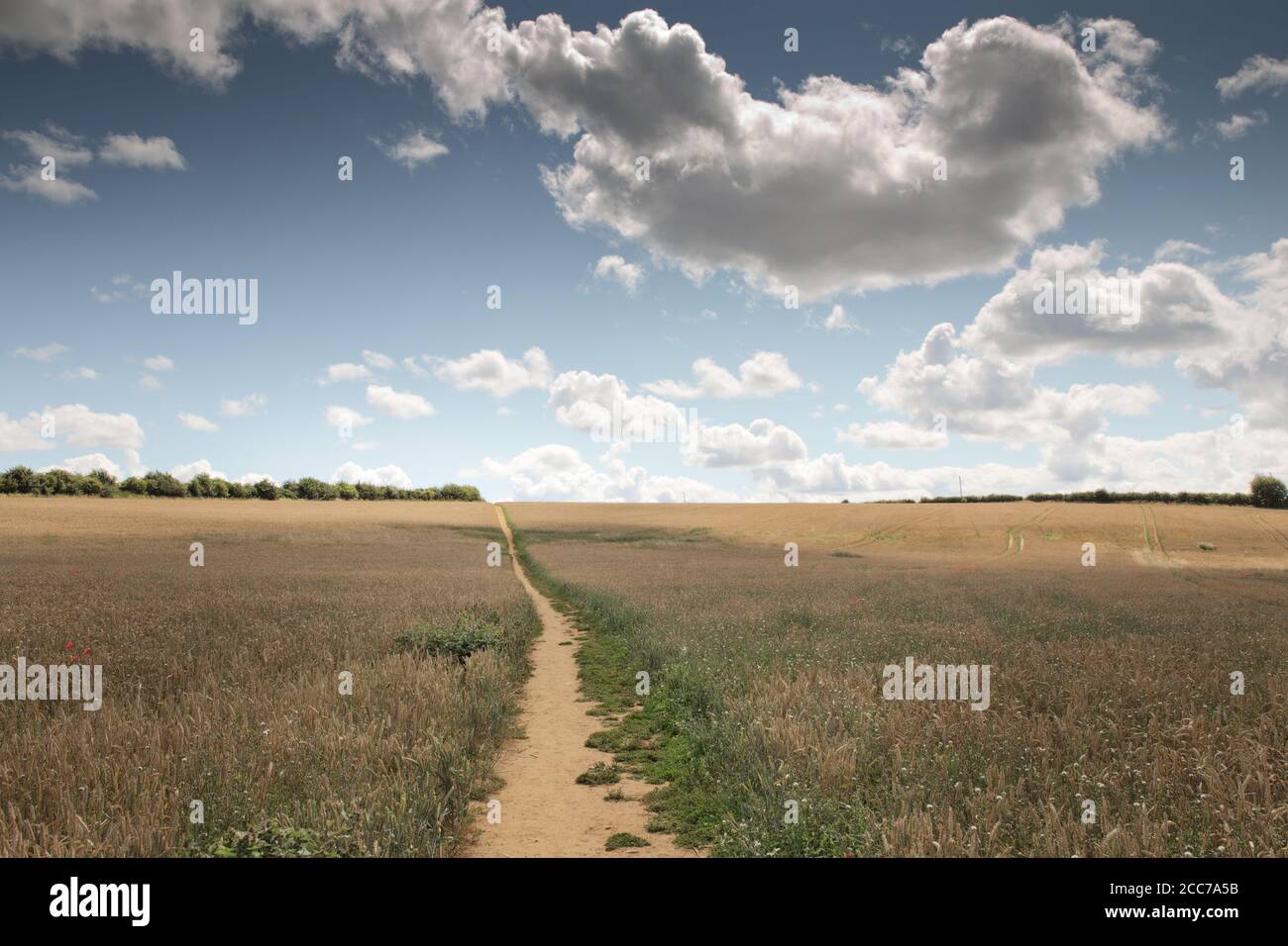 landscape image taken on the Adderbury circular walk in the Oxfordshire ...