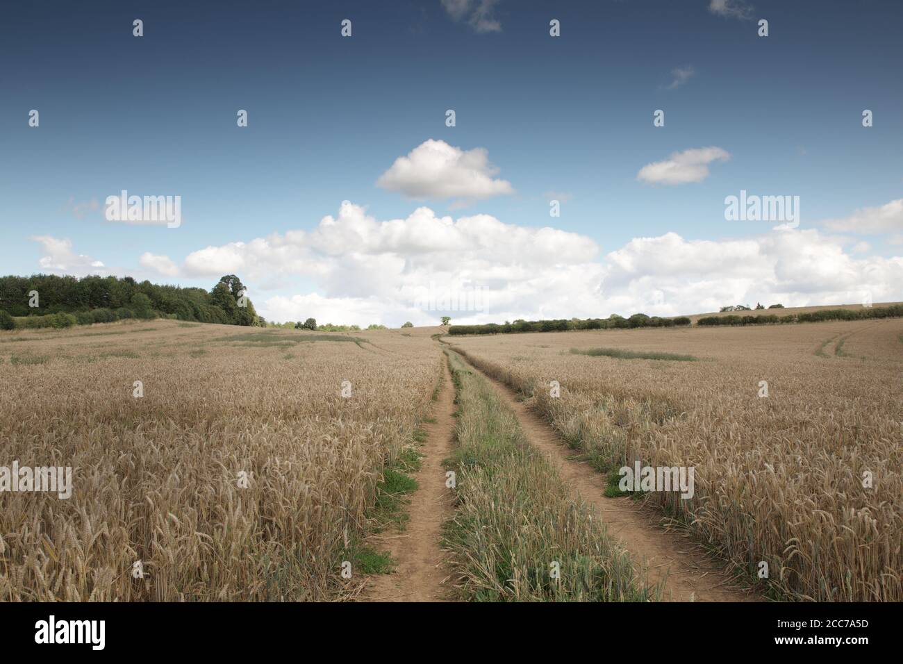landscape image taken on the Adderbury circular walk in the Oxfordshire ...