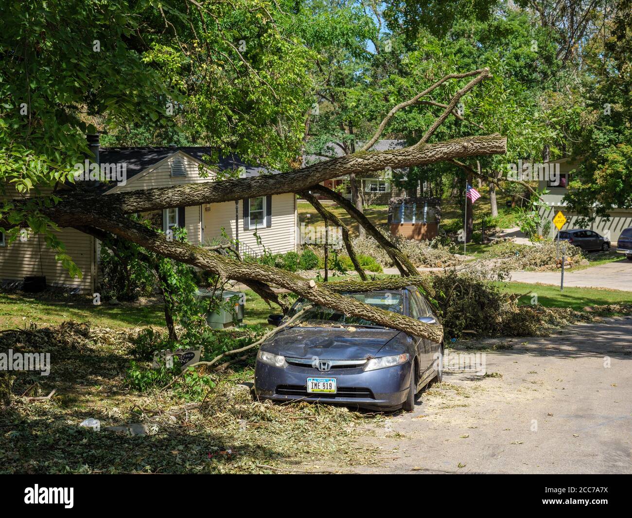 Car hit tree hi-res stock photography and images - Alamy