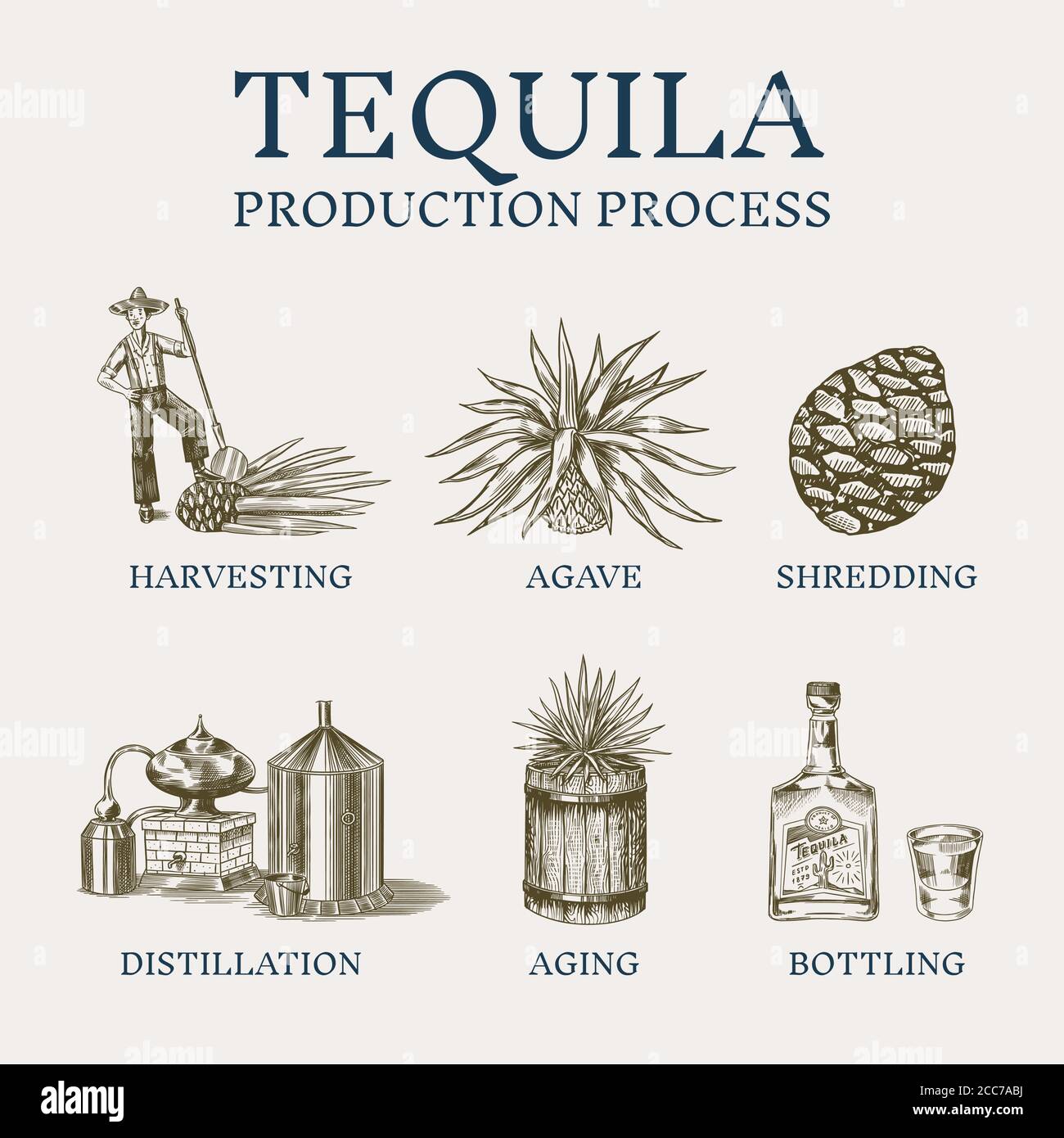 Tequila production process. Glass bottle, shot with lime, Distilled ...