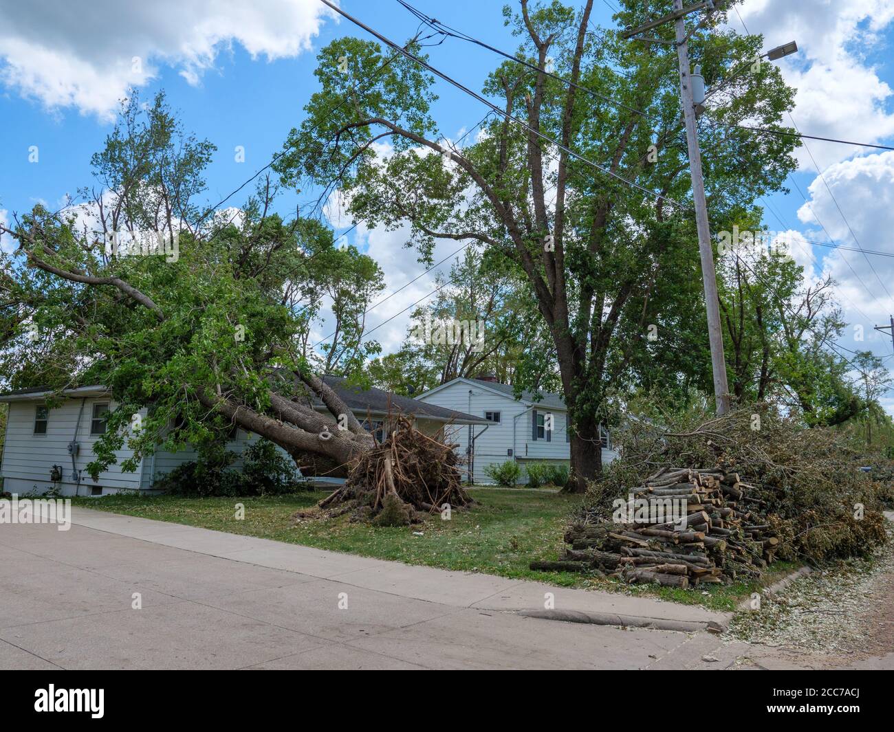 Damage from derecho of August 10, 2020. Cedar Rapids, Iowa. Fallen tree ...