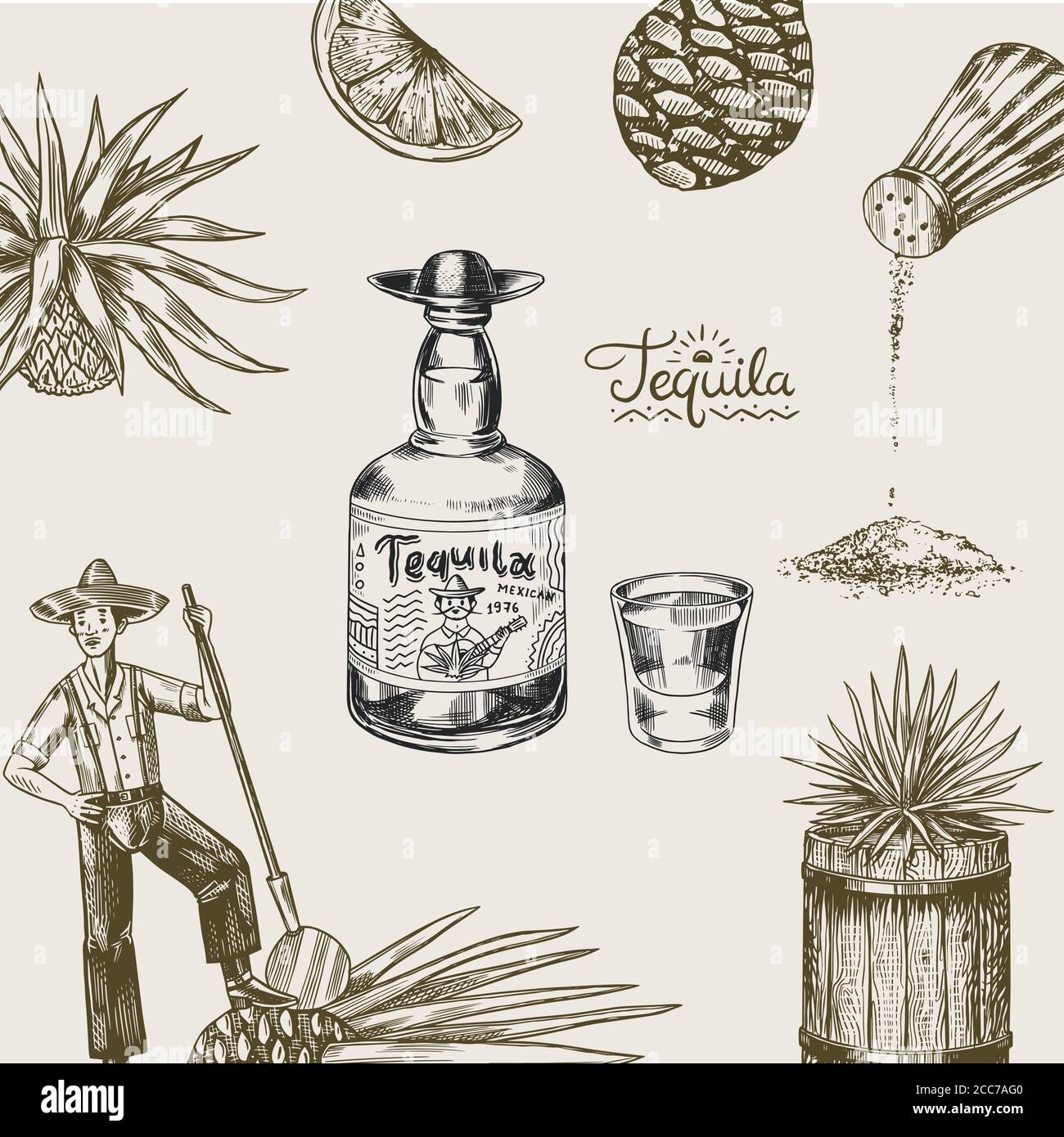 Tequila background. Glass bottle, shot with lime, blue agave Plant ...