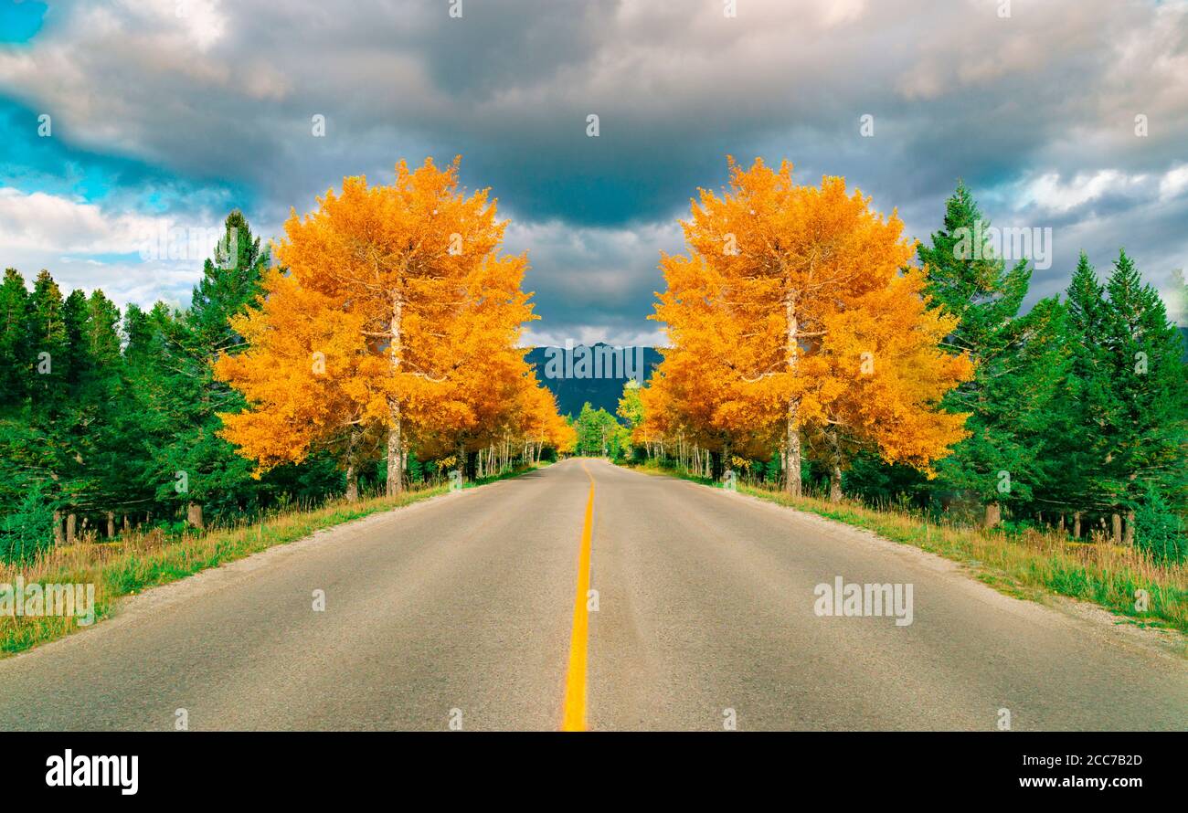 Golden fall trees hi-res stock photography and images - Alamy