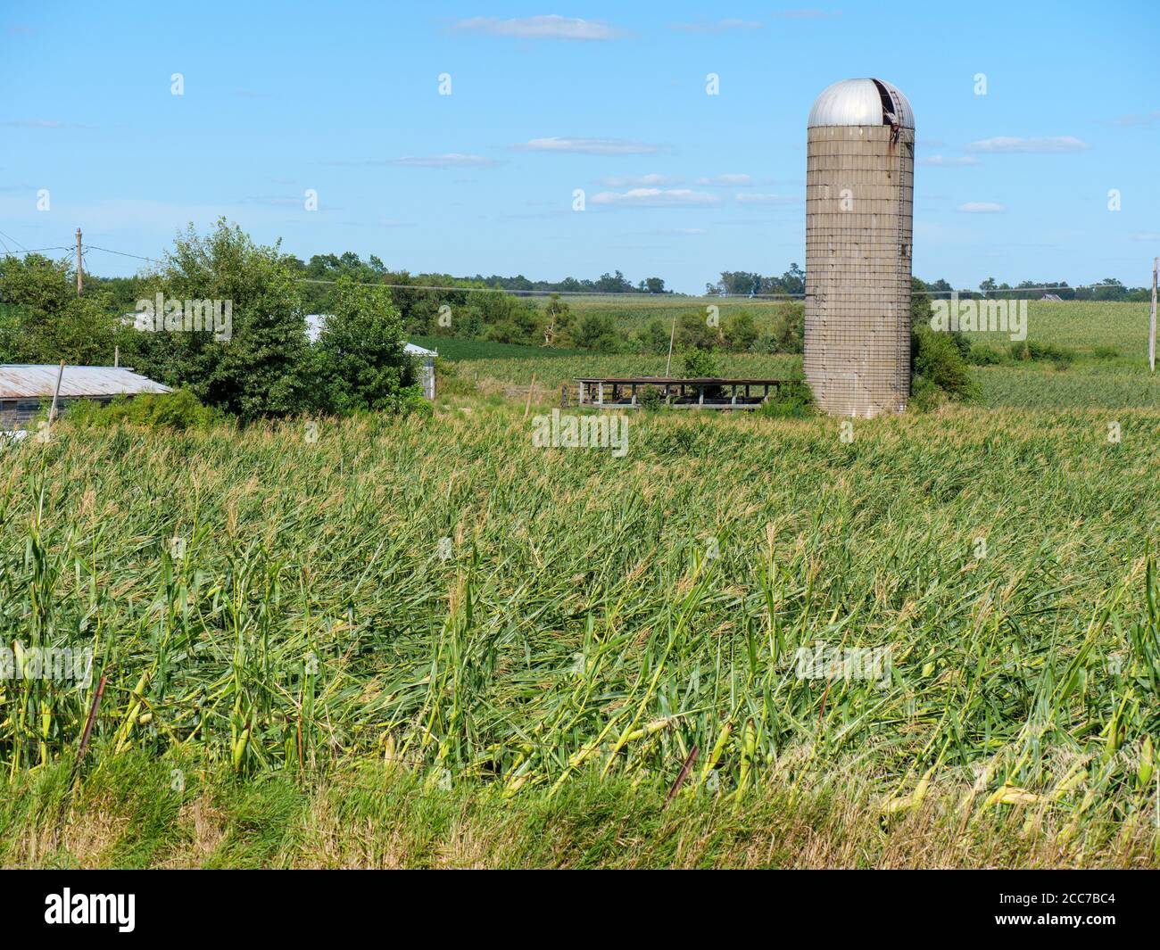 Flattened corn hi-res stock photography and images - Alamy