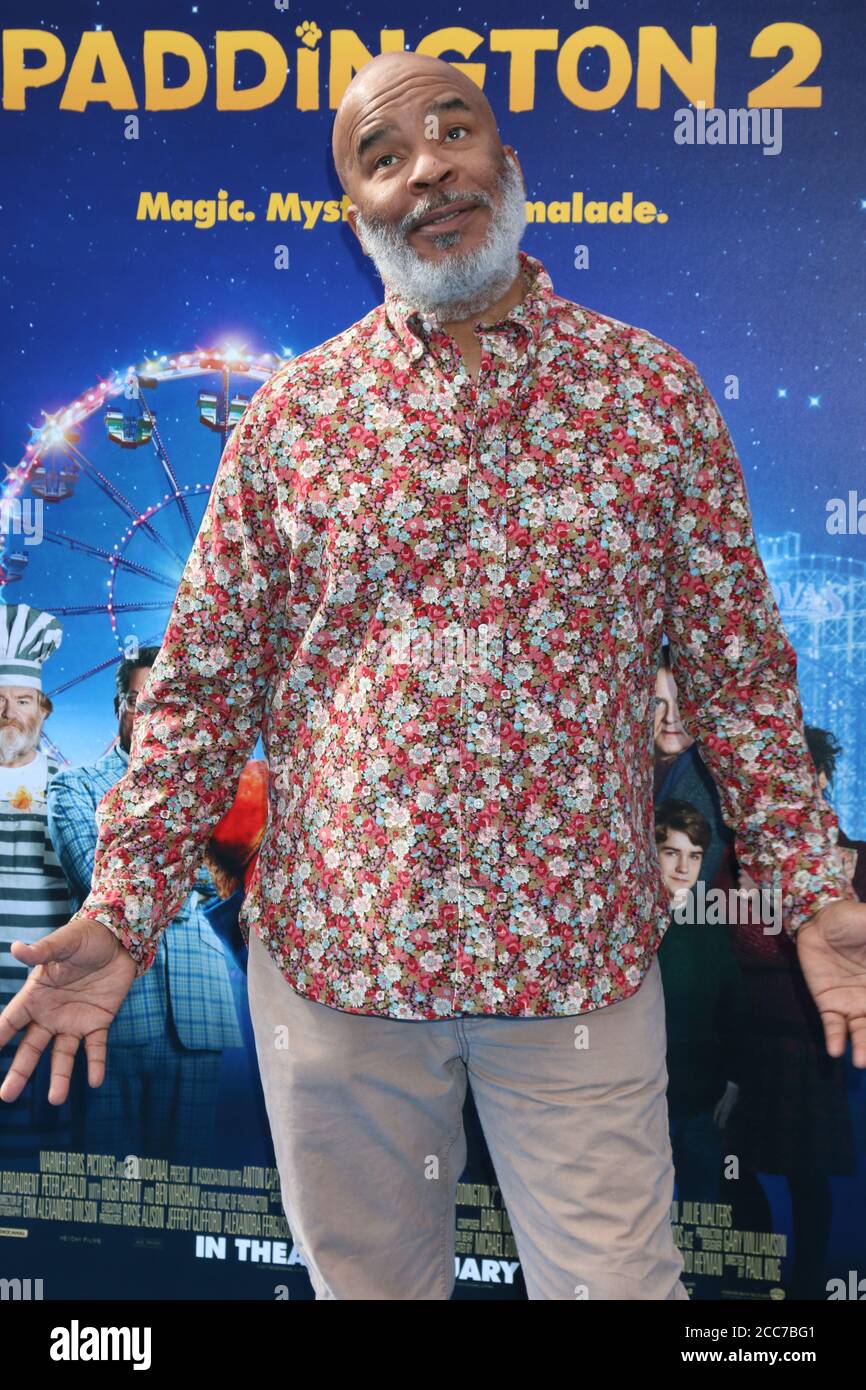 LOS ANGELES - JAN 6: David Alan Grier at the Paddington 2 US Premiere ...