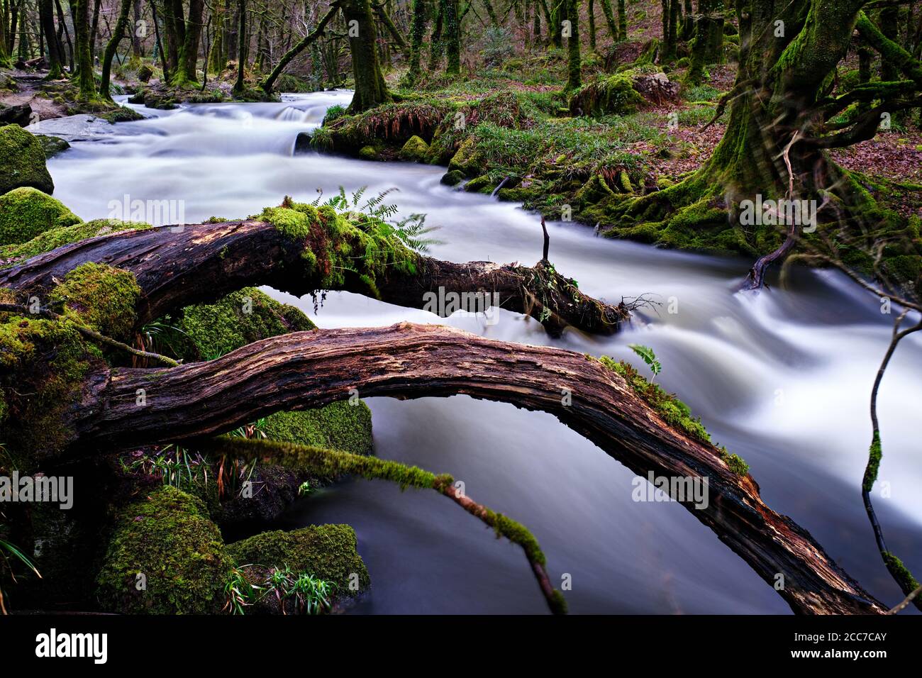 Fallen Log In River, Long Exposure Stock Photo - Alamy