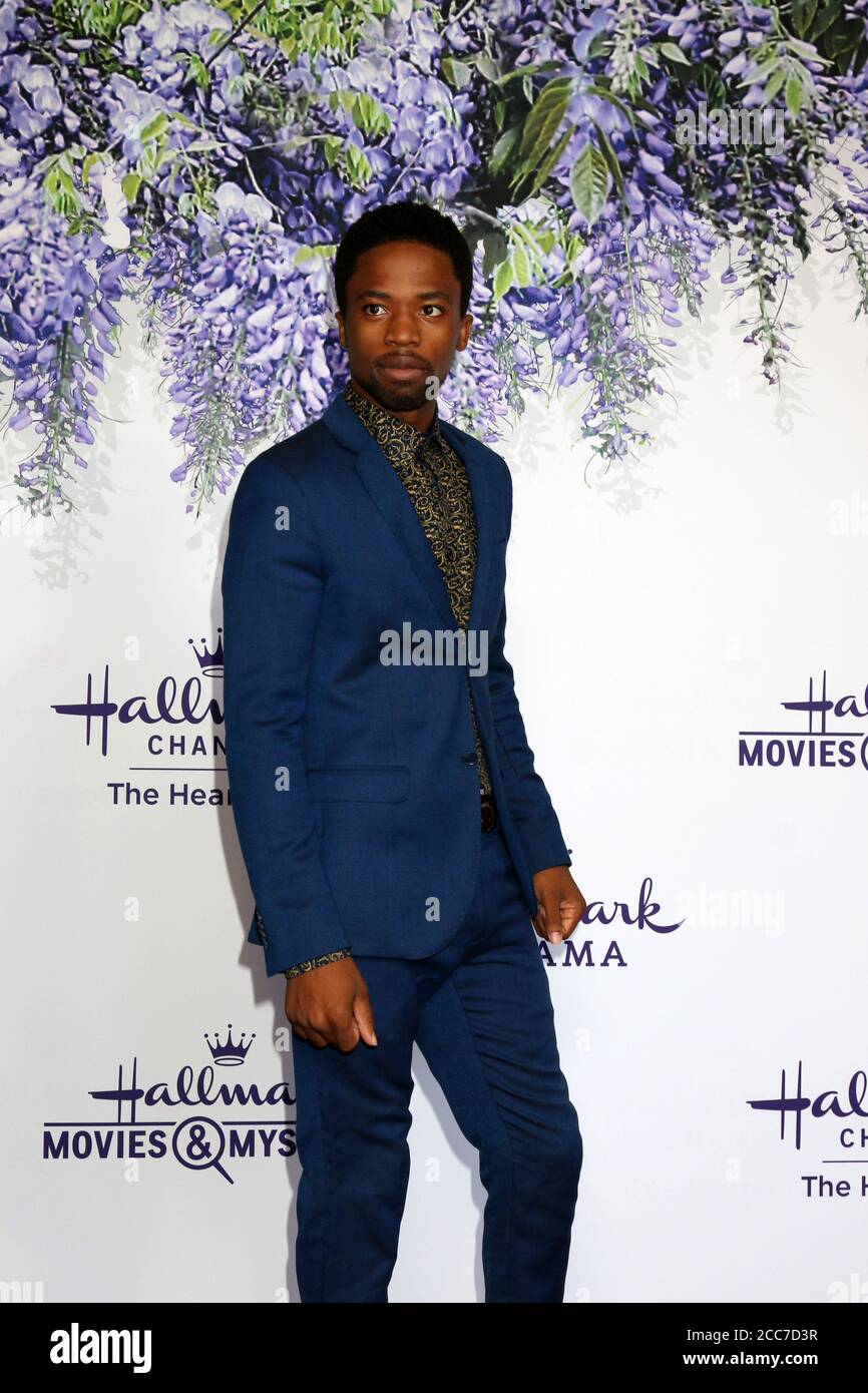 LOS ANGELES - JUL 26: Dewshane Williams at the Hallmark TCA Summer 2018 ...
