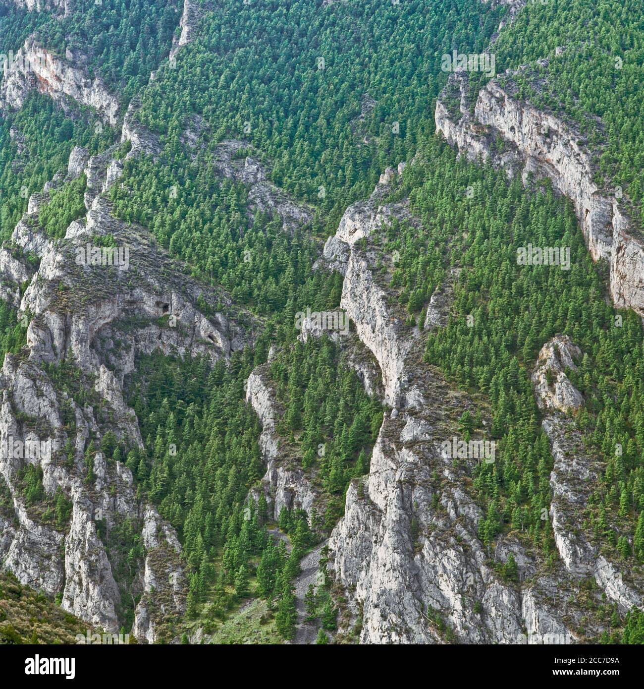 folded limestone cliffs in the london hills near cardwell, montana ...