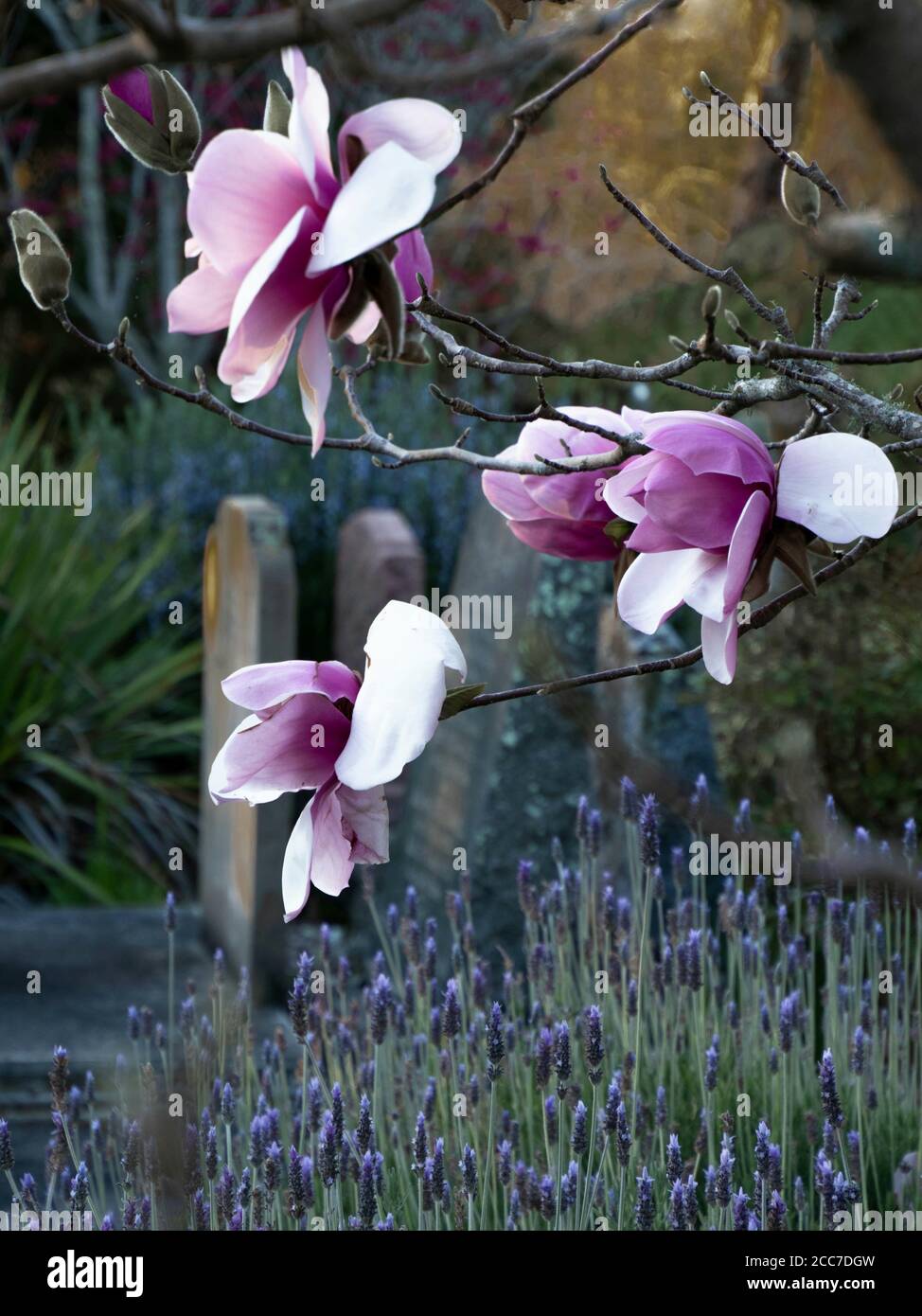 tombstones in peaceful cemetery with flower garden Stock Photo - Alamy