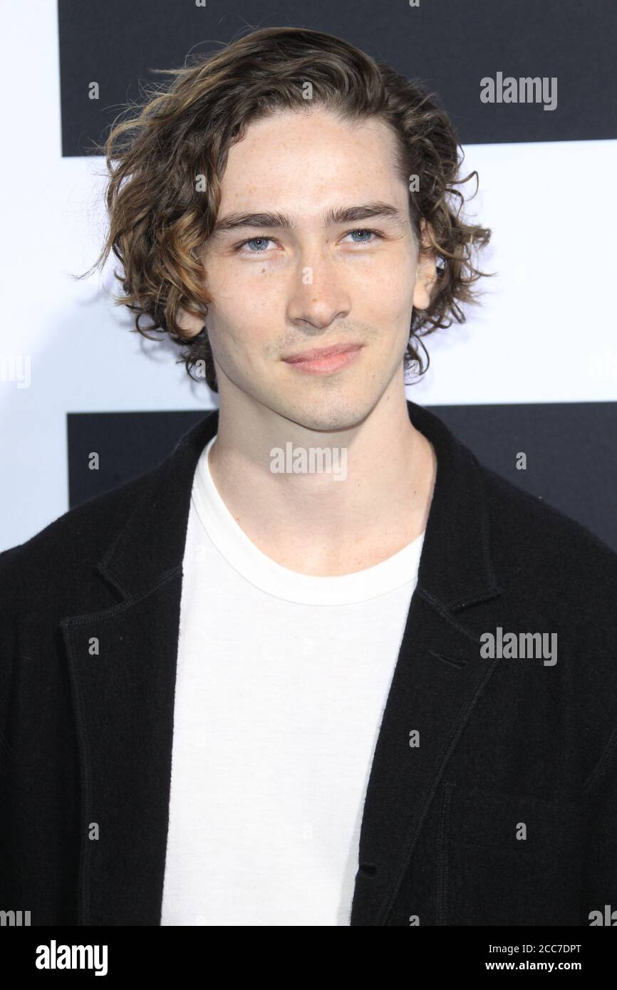 LOS ANGELES - OCT 17: Dylan Arnold at the Halloween Premiere at the TCL ...