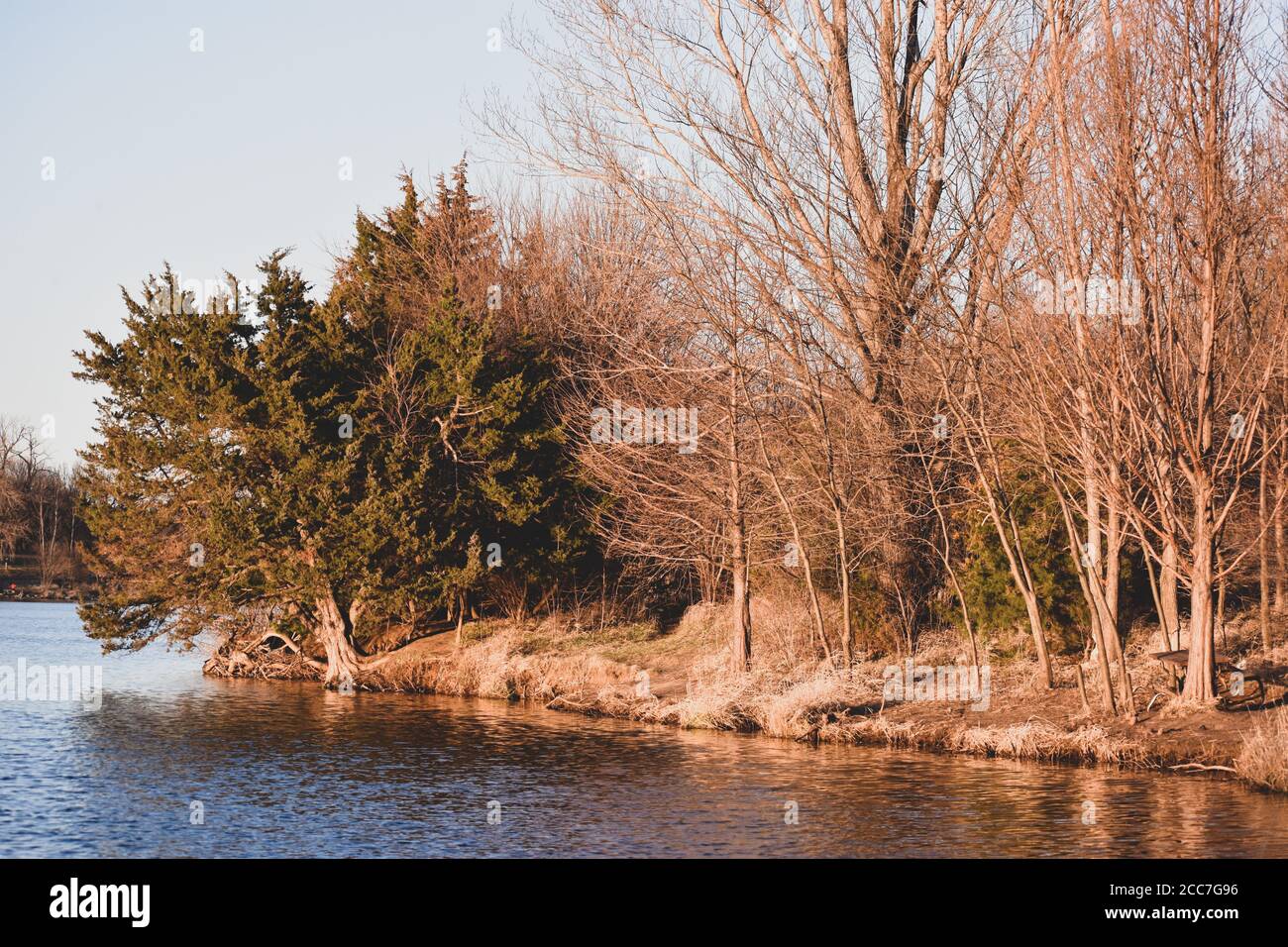 Tree line along the lake Stock Photo - Alamy