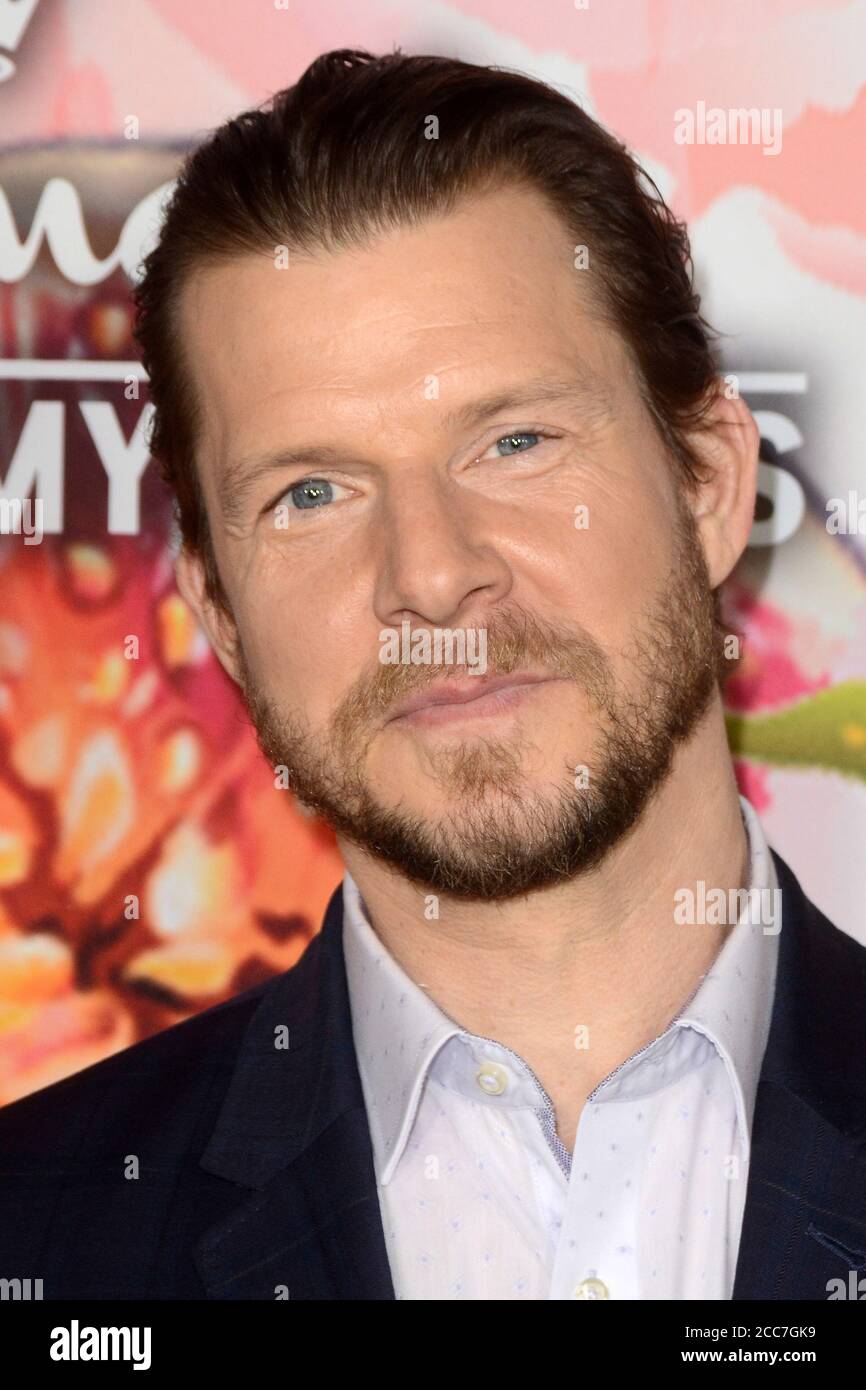 LOS ANGELES - JAN 13: Eric Mabius at the Hallmark Channel and Hallmark ...