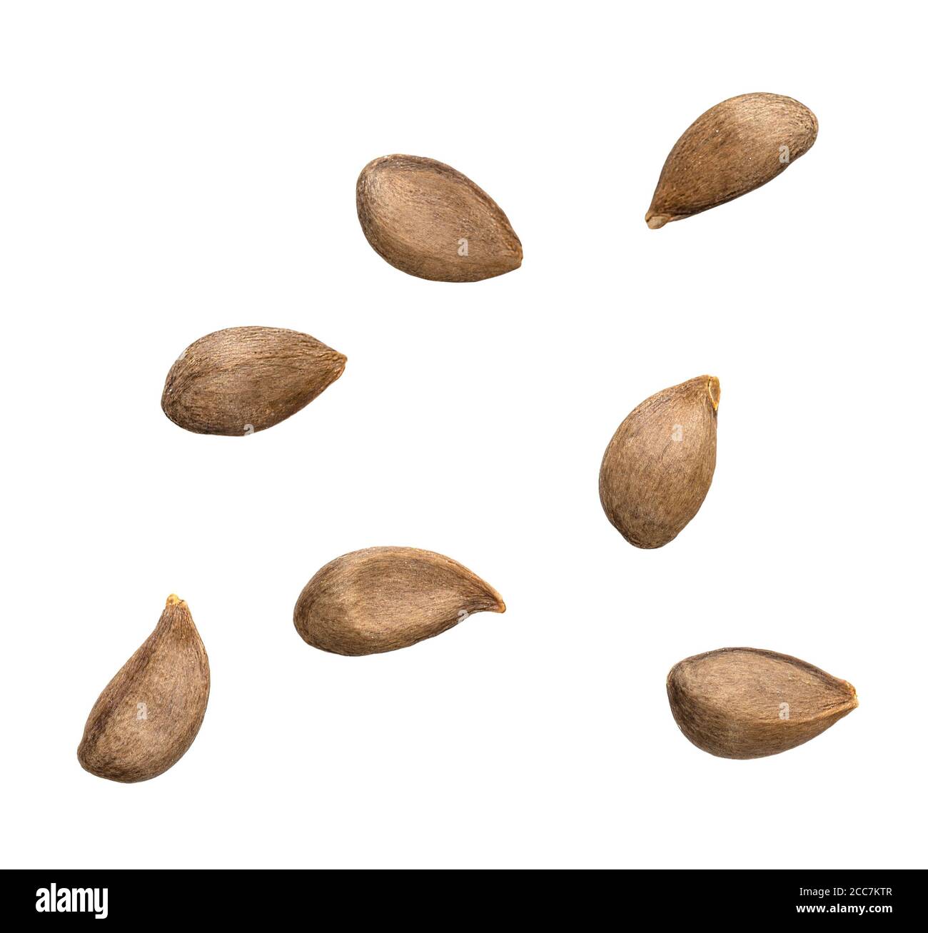 Brown pip hi-res stock photography and images - Alamy