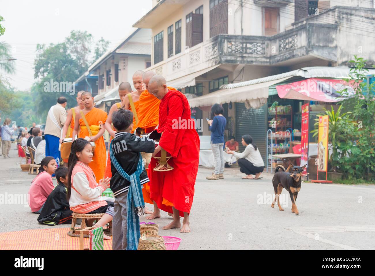Luang Prabang, Laos - Lao buddhist monks alms giving ceremony on the ...