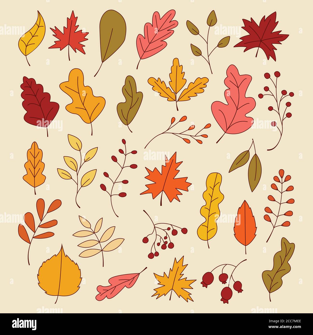 Autumn Leaves Set, Vector Illustration, Autumn leaves or fall foliage ...